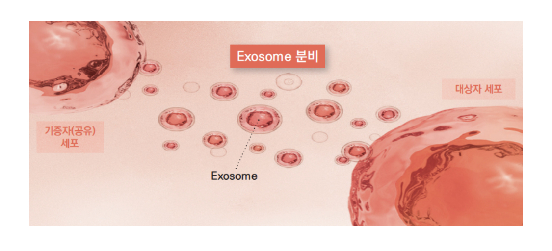 How To Eczema Care – Korea Skin Clinic in Myeong-dong